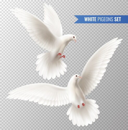 Dove Vector Images & Graphics for Commercial Use | VectorStock