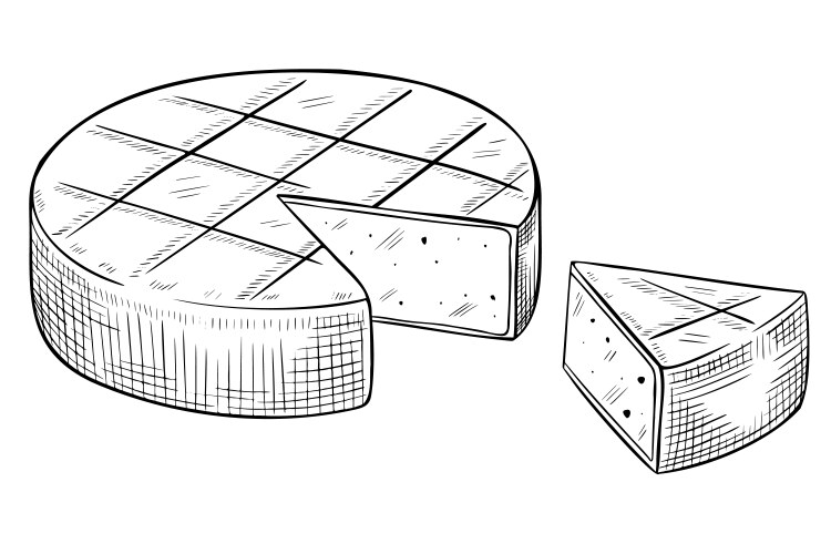Cheese Line Drawing Vector Images (over 6,100)