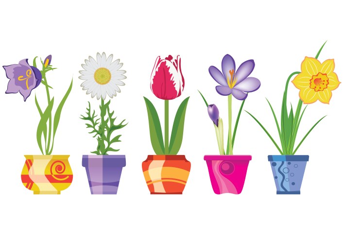 Tulips Vector Images & Graphics for Commercial Use | VectorStock