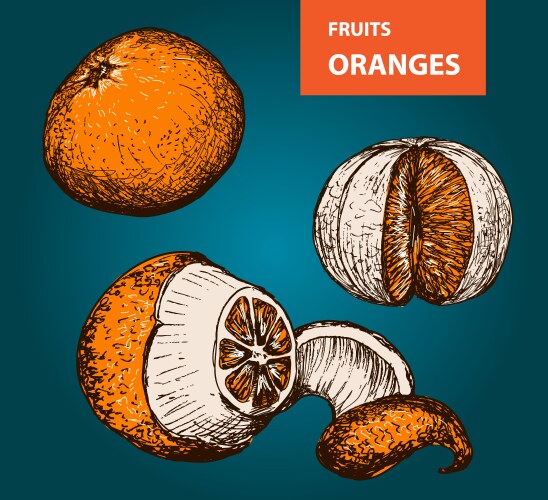 Orange Vector Images (over 1.1 million)