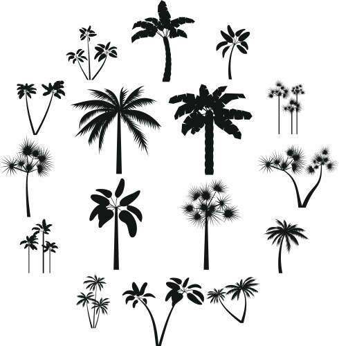 Collection palm trees Royalty Free Vector Image