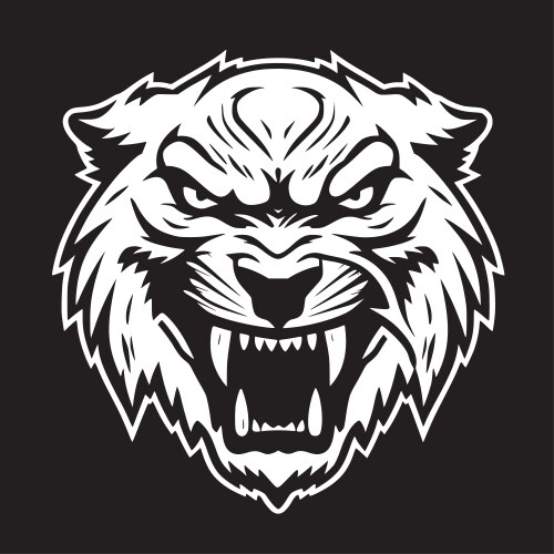 White tiger face Royalty Free Vector Image - VectorStock