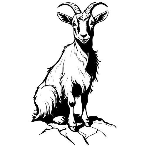Goat Pencil Drawing Vector Images (over 320)