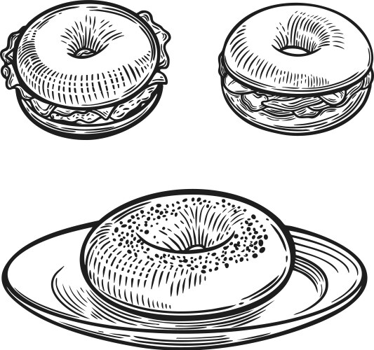 Croissants and bagels line drawing isolated Vector Image
