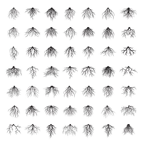 Tree Roots Vector Images (over 21,000)