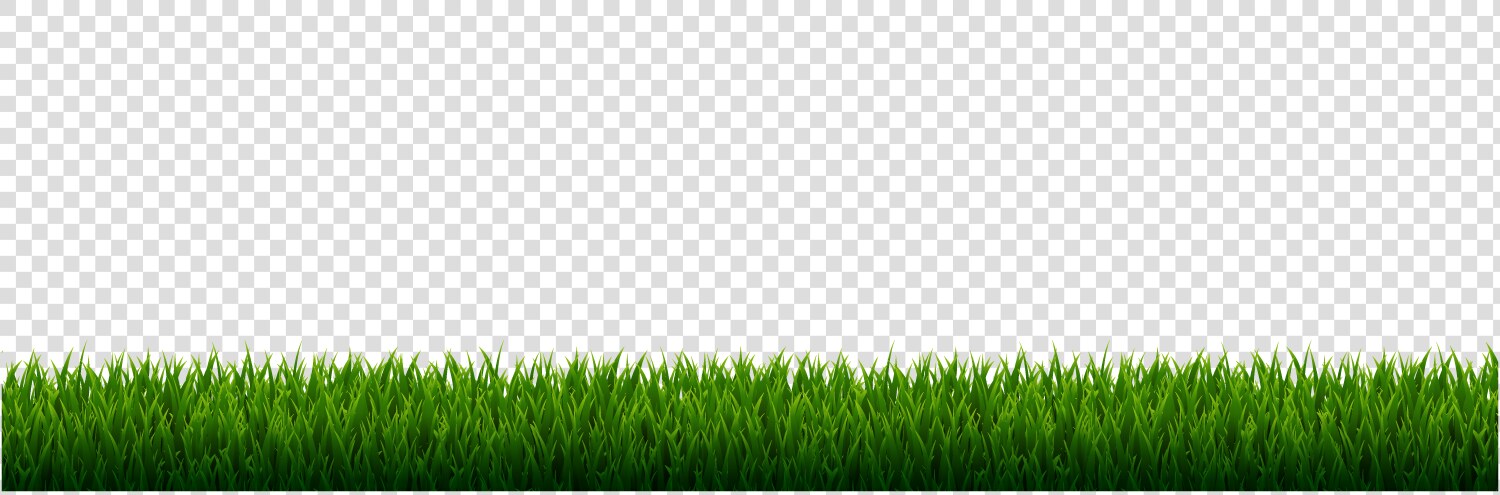 Green Grass Border - Transparent Background Vector Image