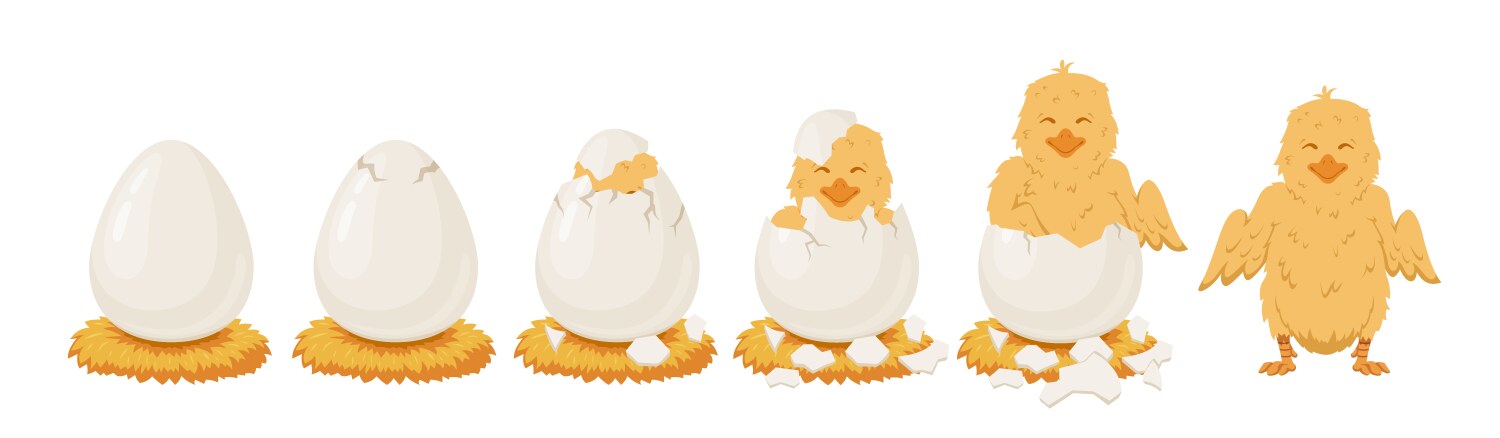 Chick Hatching Egg Vector Images (over 2,700)