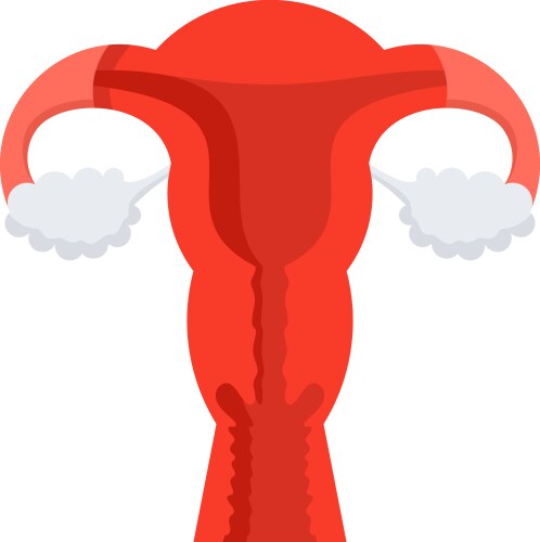 Gynecology uterus body Royalty Free Vector Image