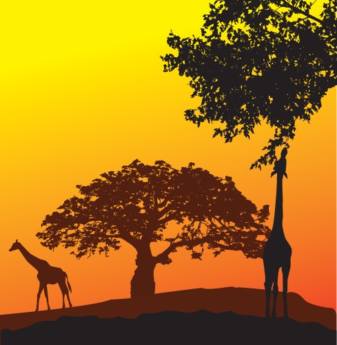 Africa Jungle Vector Images (over 42,000)