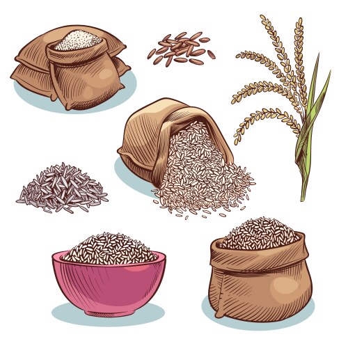Rice Cartoon Vector Images (over 18,000)