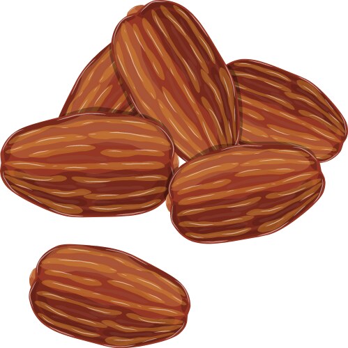Dates fruit with stalks Royalty Free Vector Image