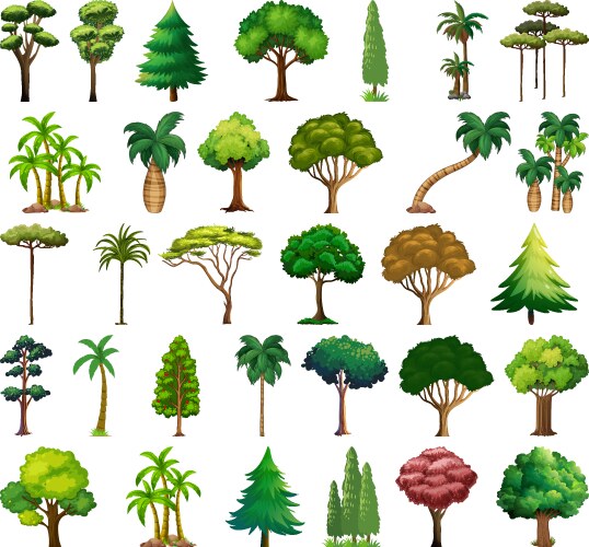 Set of tropical trees isolated Royalty Free Vector Image