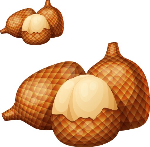 Salak fruit cartoon icon Royalty Free Vector Image