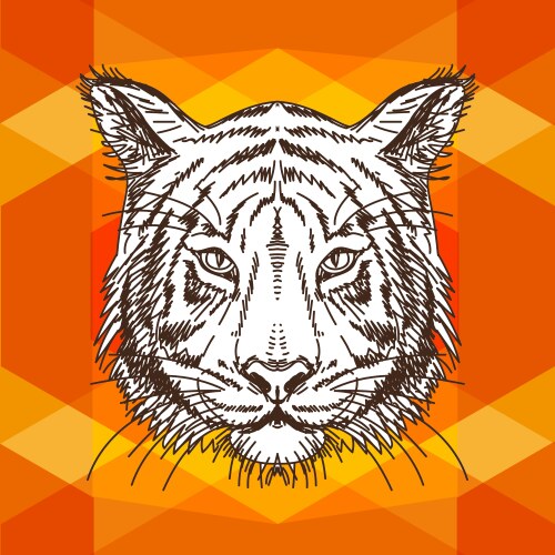 Tiger head front view face Royalty Free Vector Image