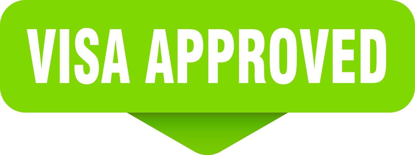 Visa approved sticker sign Royalty Free Vector Image