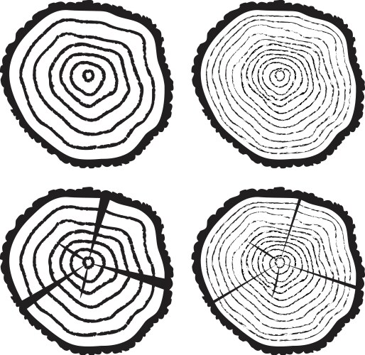 Wooden log cut Royalty Free Vector Image - VectorStock