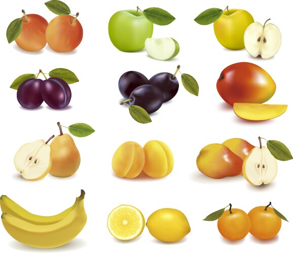 Fruit Vector Images (over 830,000)