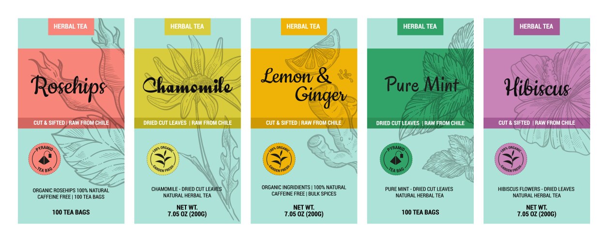 Herbal tea poster design with cinnamon mint Vector Image