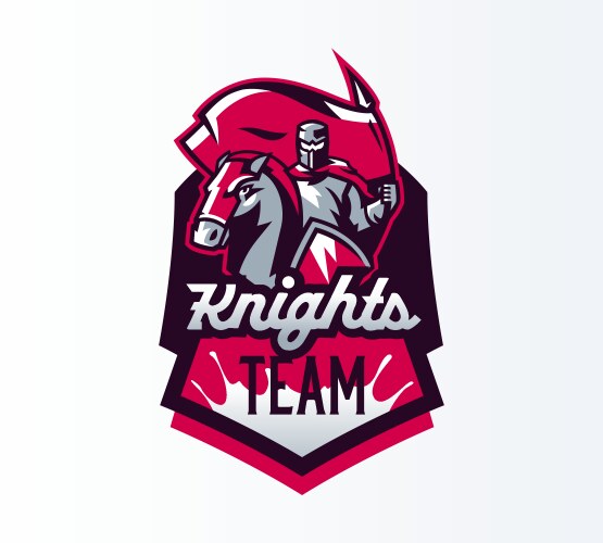 Knight plumber logo Royalty Free Vector Image - VectorStock
