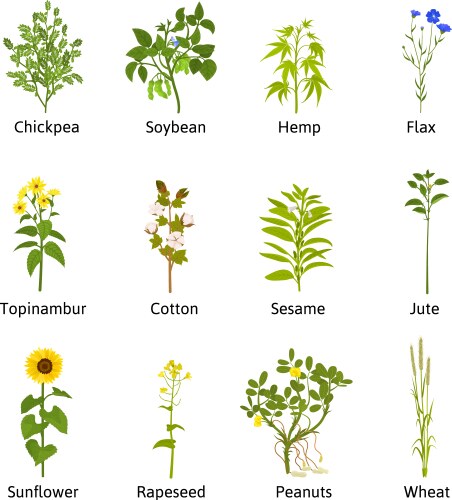 Jute Leaf Vector Images (85)