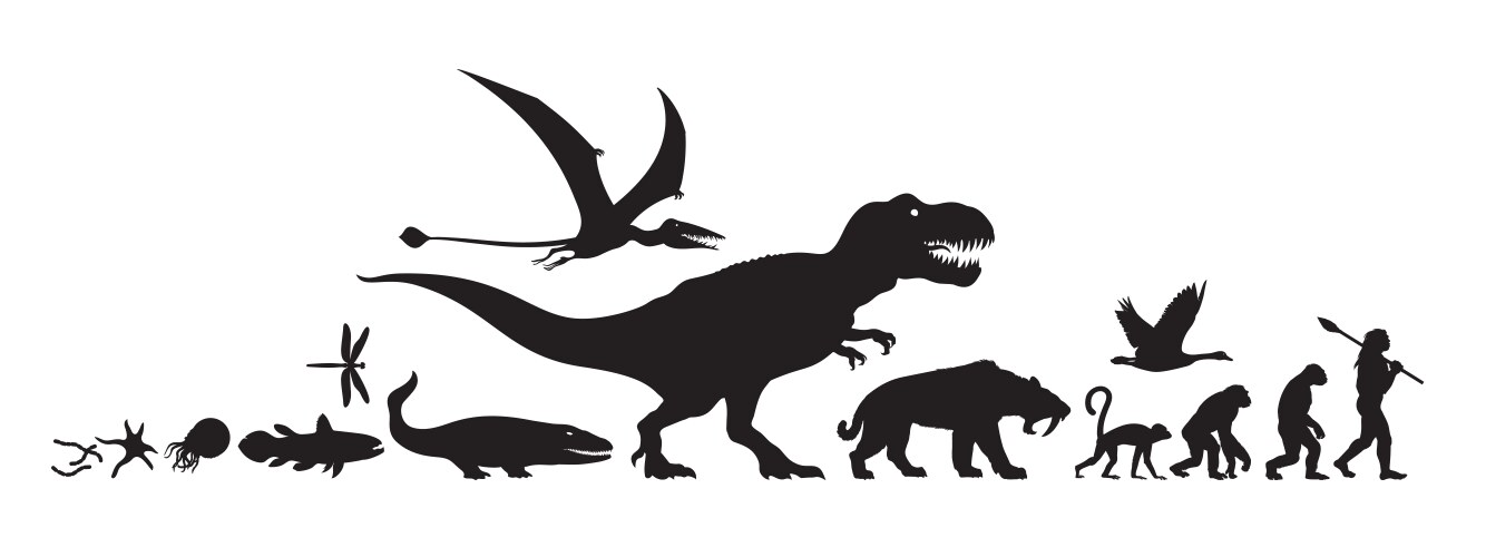 Evolution of life on earth timeline from protozoa Vector Image
