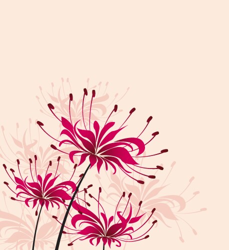 Red flower lycoris Royalty Free Vector Image - VectorStock