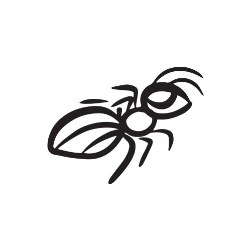 Ant design Royalty Free Vector Image - VectorStock