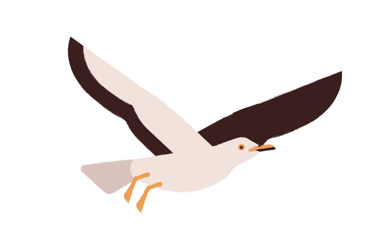 Seagulls birds flying cartoon Royalty Free Vector Image