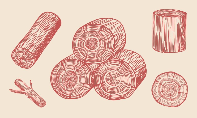 Log Royalty Free Vector Image - VectorStock