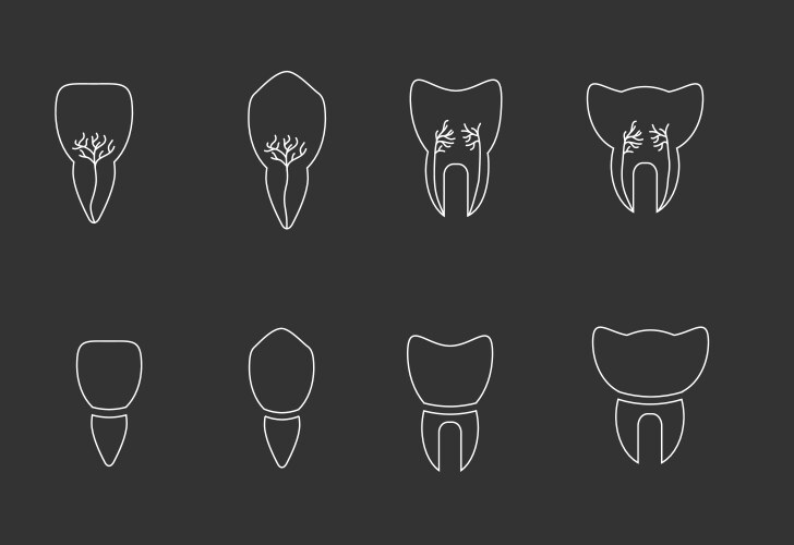 Teeth Cartoon Vector Images (over 80,000)