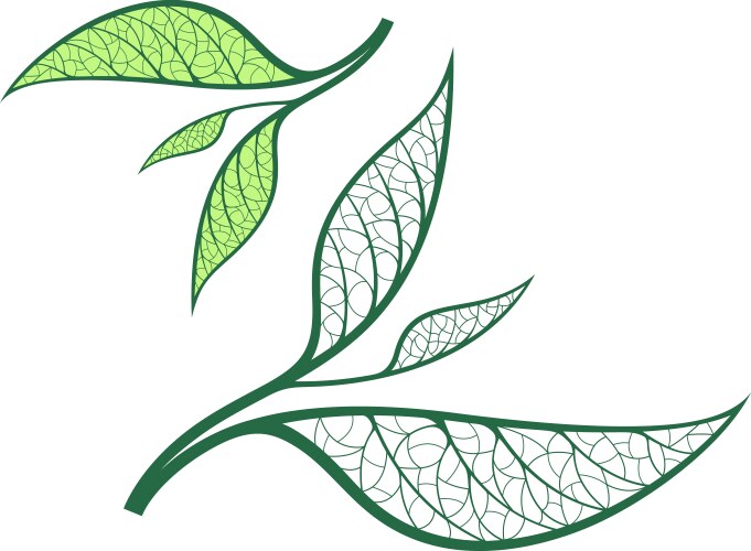 Tea leaves Royalty Free Vector Image - VectorStock