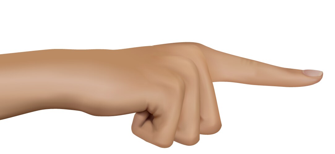 Pointing Hand Vector Images (over 88,000)