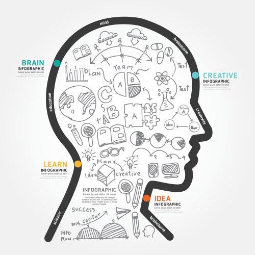 Infographics brain design diagram point style Vector Image
