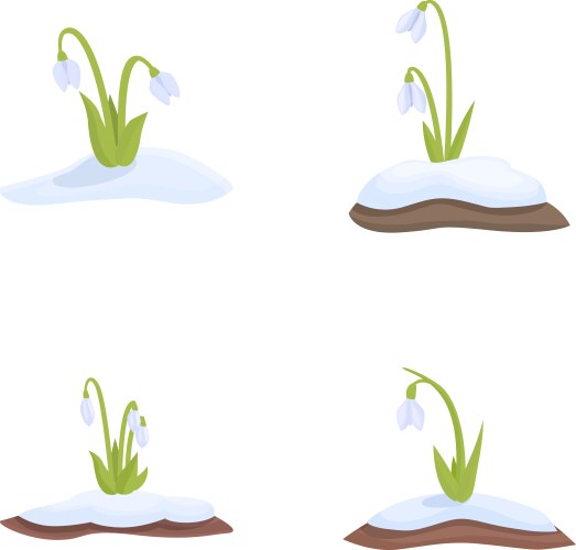 Snowdrop Vector Images (over 4,500)