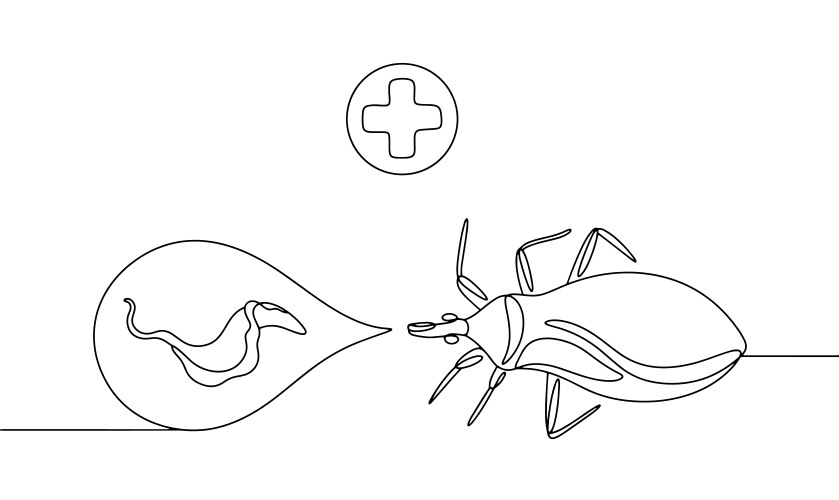 Parasite Sketch Vector Images (over 550)