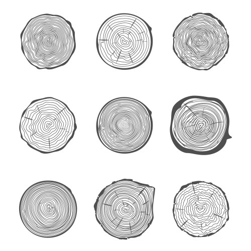 Tree-rings set Royalty Free Vector Image - VectorStock