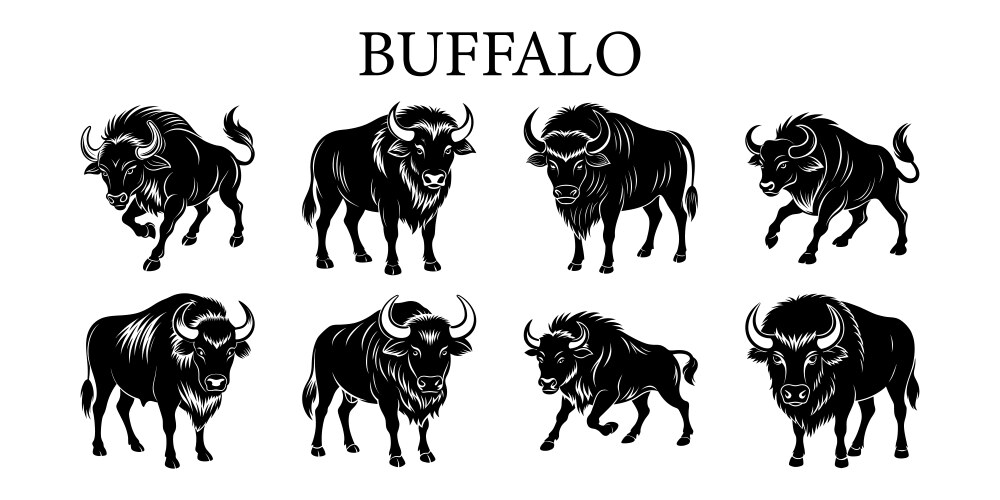 Black Buffalo Vector Images (over 30,000)