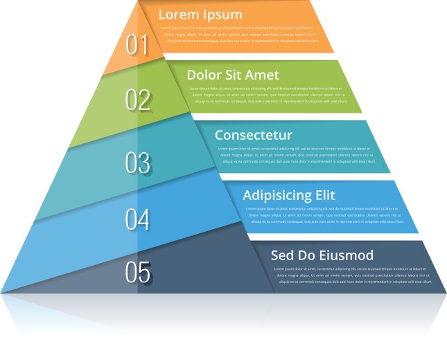Pyramid chart Royalty Free Vector Image - VectorStock