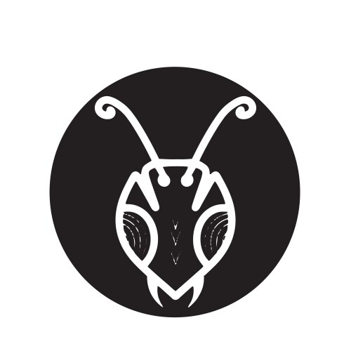 Ant design Royalty Free Vector Image - VectorStock