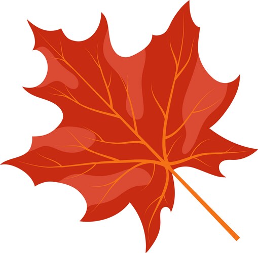Maple leaf icon Royalty Free Vector Image - VectorStock