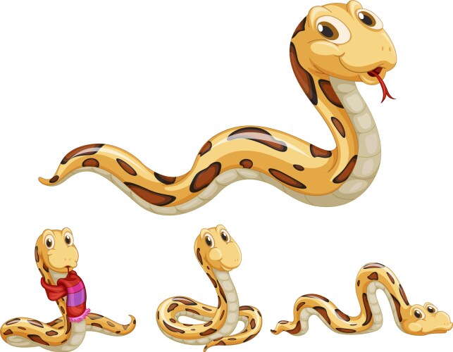 Cartoon snake isolated Royalty Free Vector Image