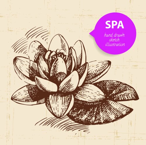 Spa Vector Images (over 340,000)