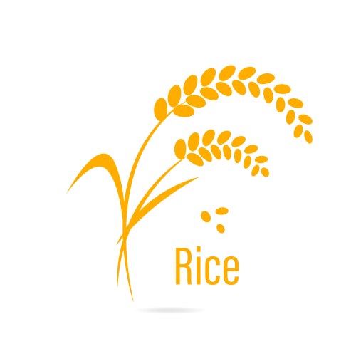Rice plant 3d realistic icon Royalty Free Vector Image