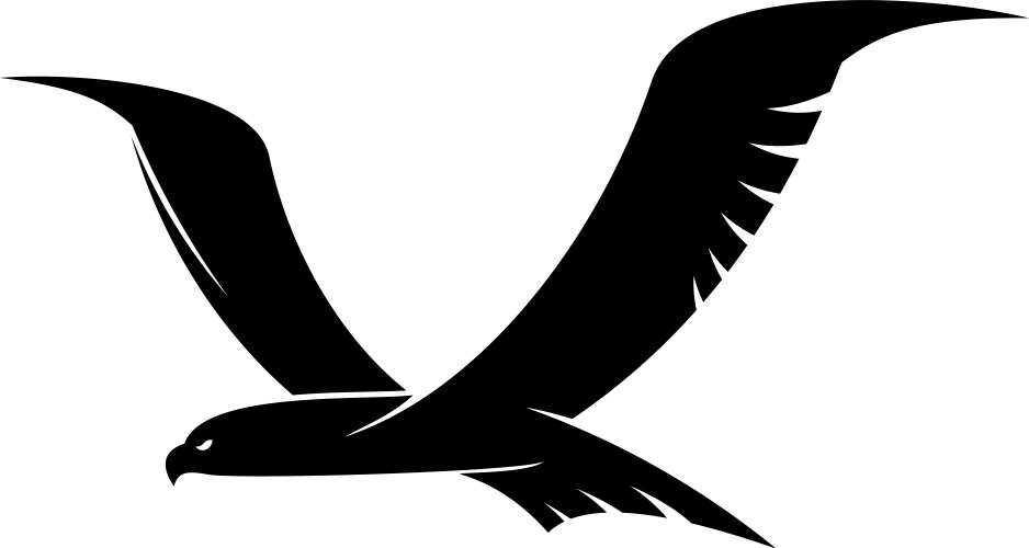 Hawk Outline Vector Images (over 5,100)