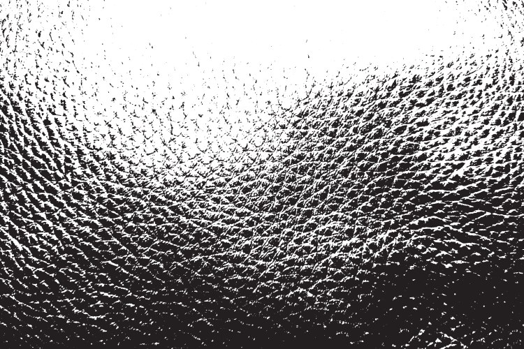 Leather overlay texture Royalty Free Vector Image