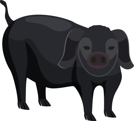 Pets design concept Royalty Free Vector Image - VectorStock