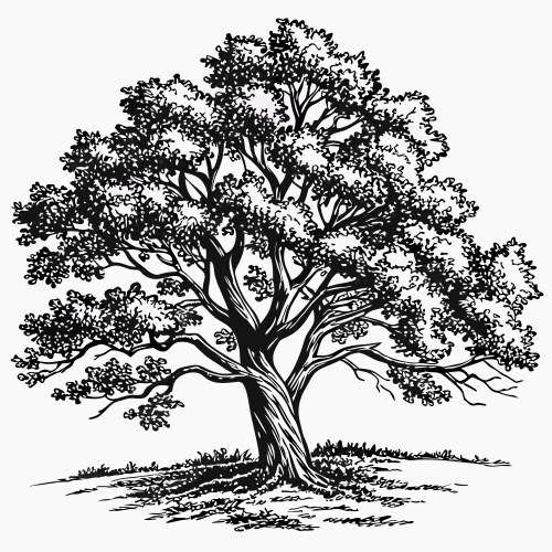 Vintage maple tree line art Royalty Free Vector Image