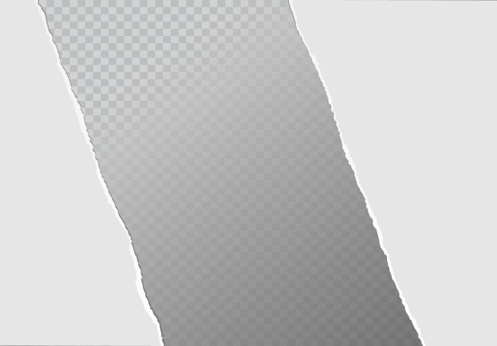 Ripped Paper Png Vector Images (over 340)