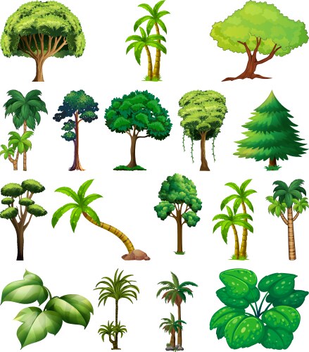 Tree Royalty Free Vector Image - VectorStock