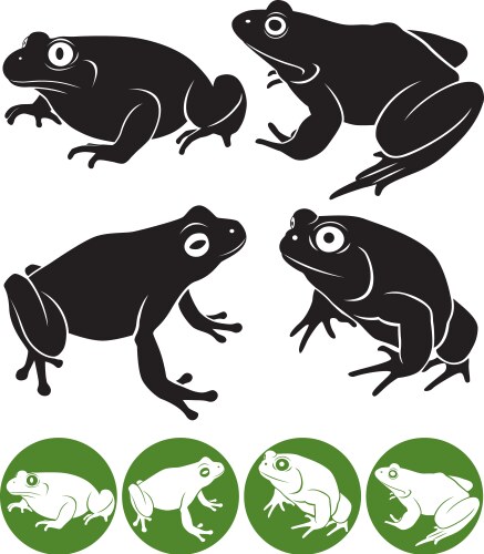 Frog Vector Images (over 24,000)